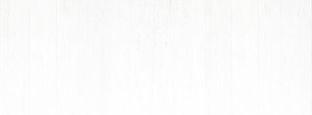 Trailer Birds | Nashville Hot Chicken Restaurant