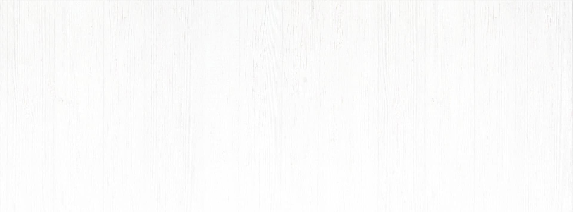 Trailer Birds | Nashville Hot Chicken Restaurant