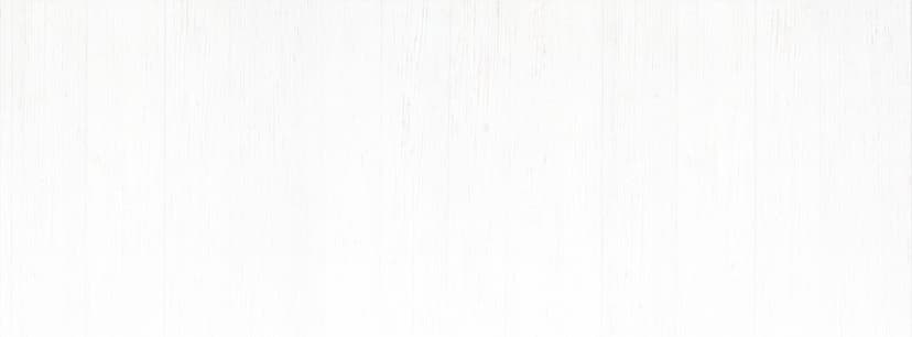 Trailer Birds | Nashville Hot Chicken Restaurant